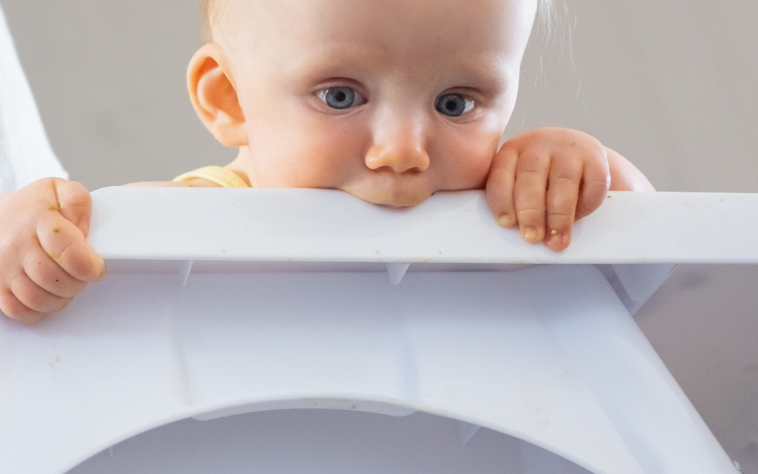 PALAVRA DO ESPECIALISTA: POR QUE AS CRIANÇAS MORDEM? | Creche Segura